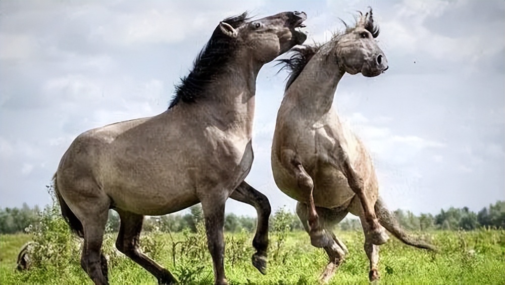 Between the quick fight and the lingering: revealing the ten before and ...