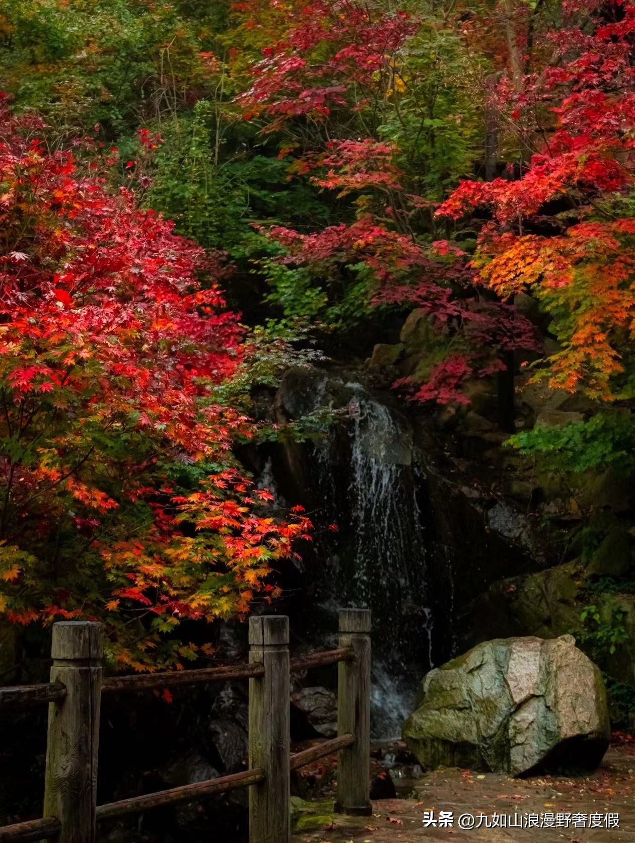 Autumn escape city plan!Hide in the mountains to go on vacation - iNEWS