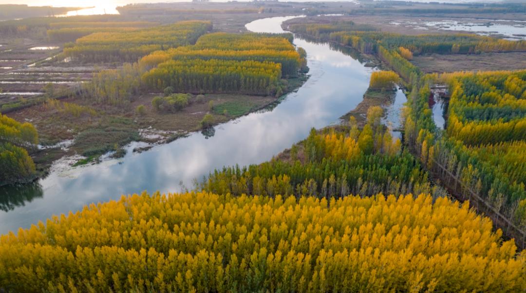 Along the most beautiful Huanhu Road in Dongping, walk into the autumn ...