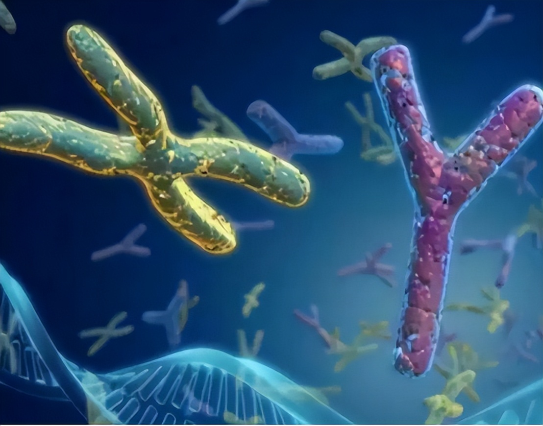 Are human genders only male and female? There are more than 2 types ...