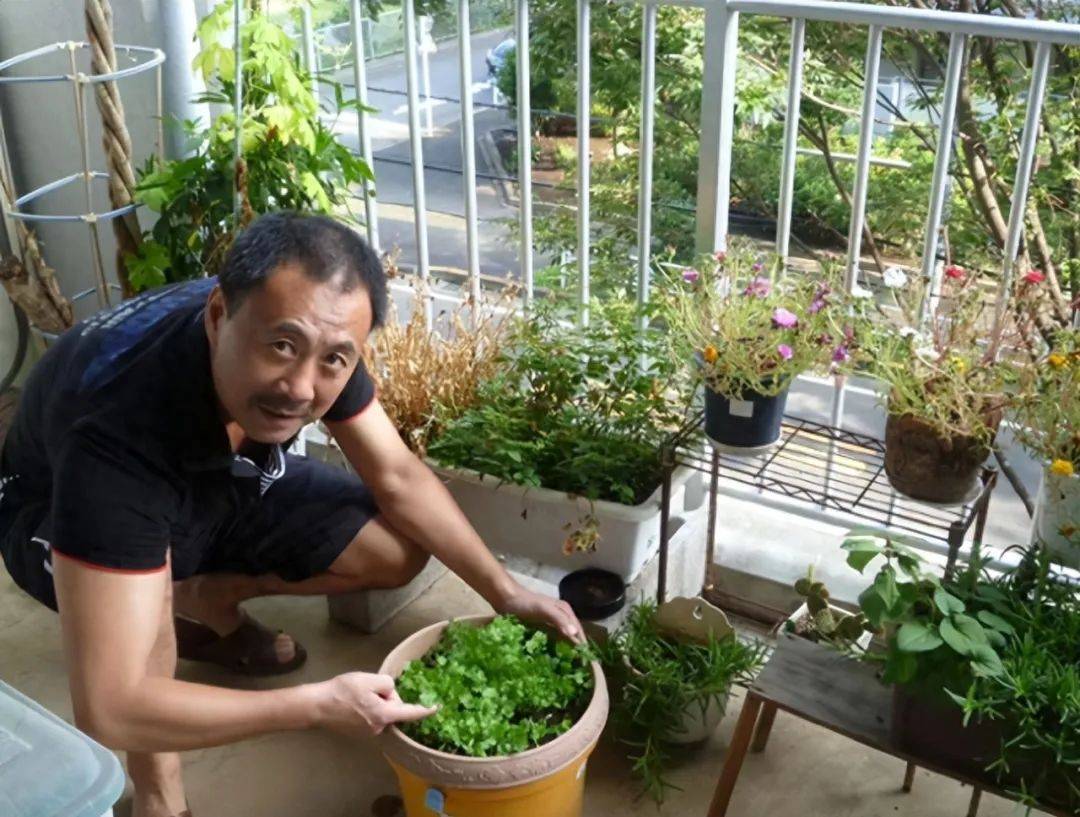 Original professional Huma Weijun passed away. He had been separated ...