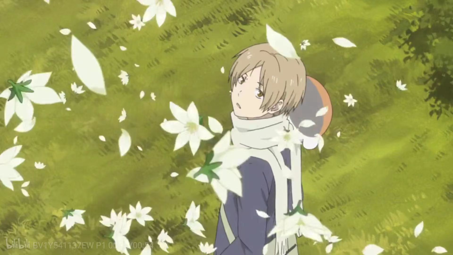 The healing animation that you can never tire of watching, what you see ...