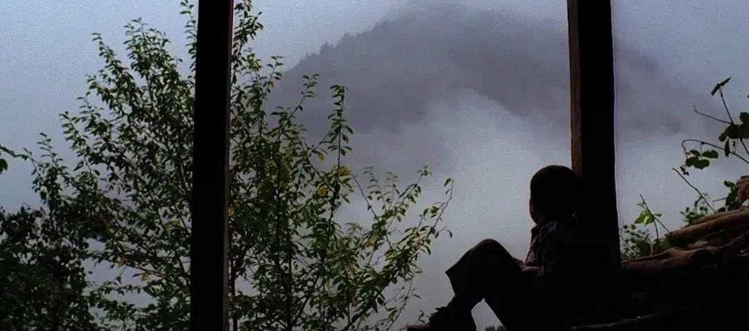 Friendship with bees, facing challenges together, protecting bee homes ...