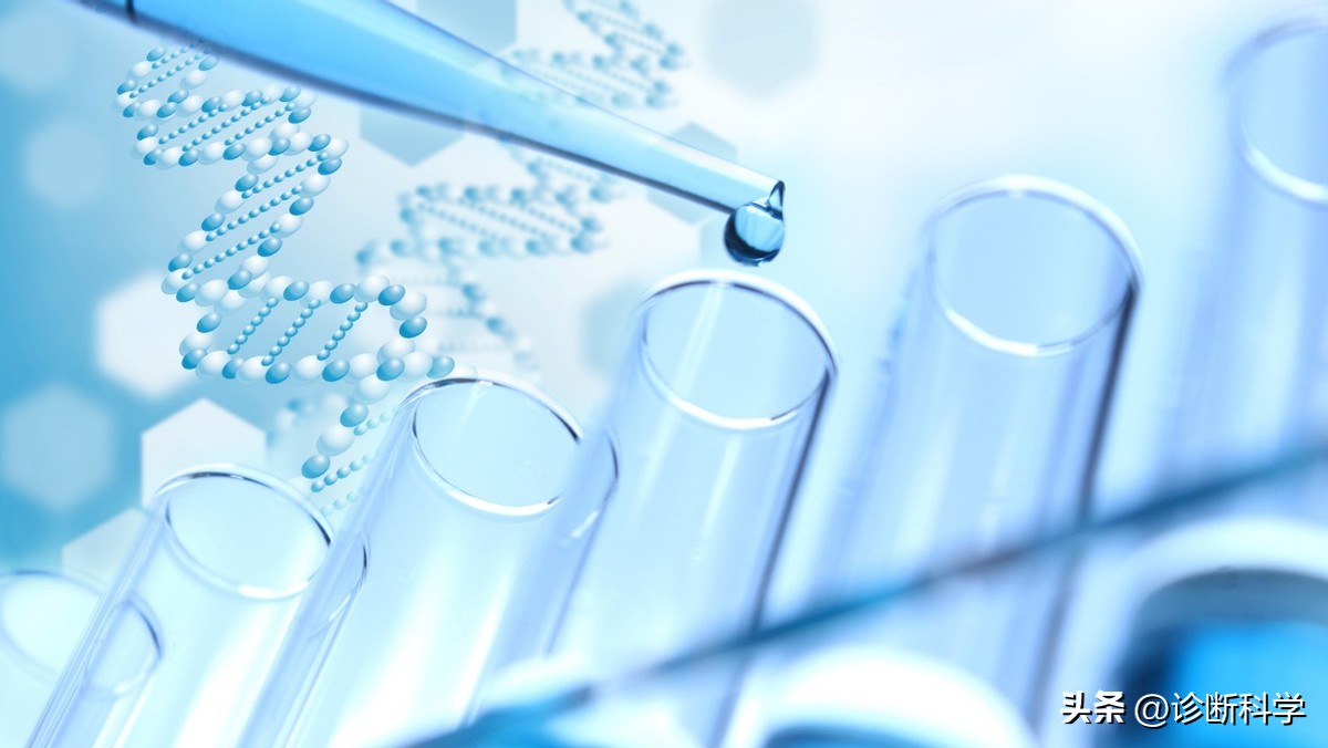 How to design products for clinical application?Roche demonstrates ...