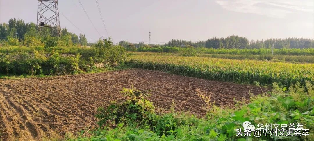 Huazhou Ancient Village - Yongjiawan Village, Lianhuasi Town - iNEWS