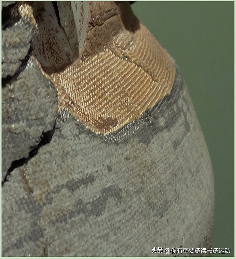 A Brief History of the Development of U.S. Strategic Missiles V - iMedia