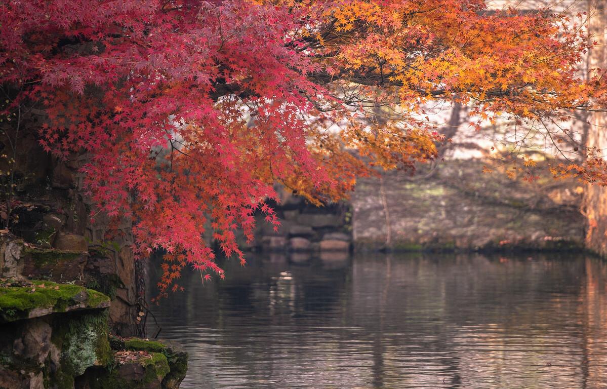 Autumn is sad but not inevitable, light cold is pleasant - iNEWS