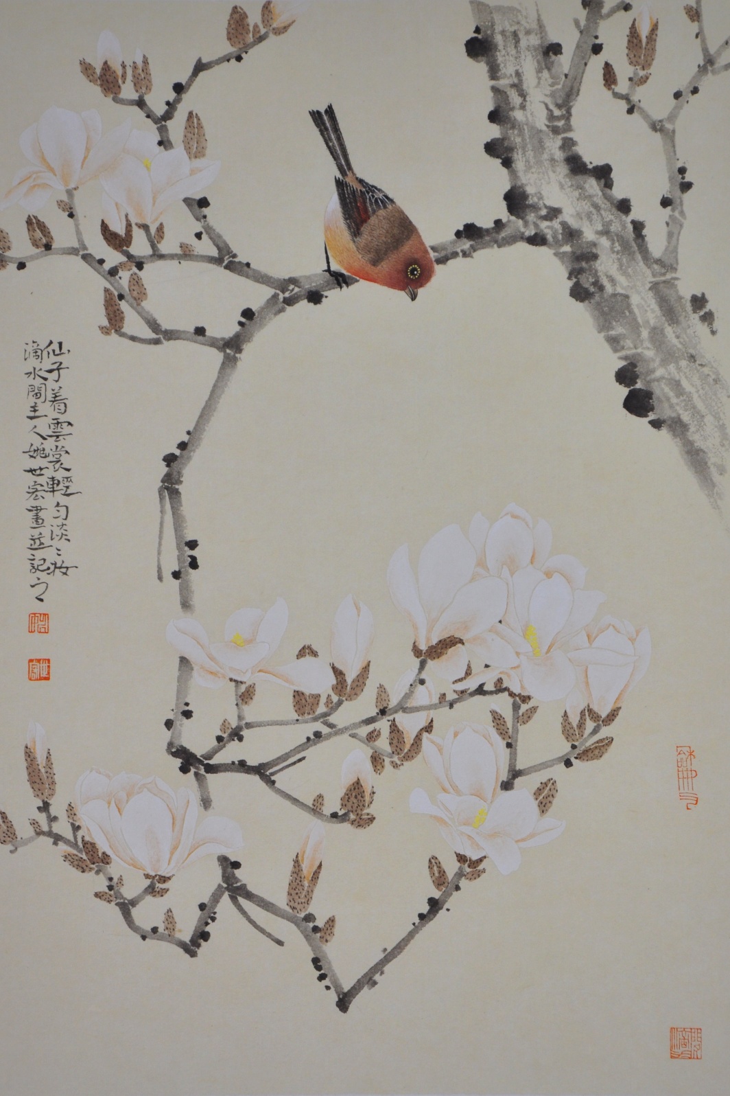 Online exclusive contract artist Yao Shihong - iNEWS