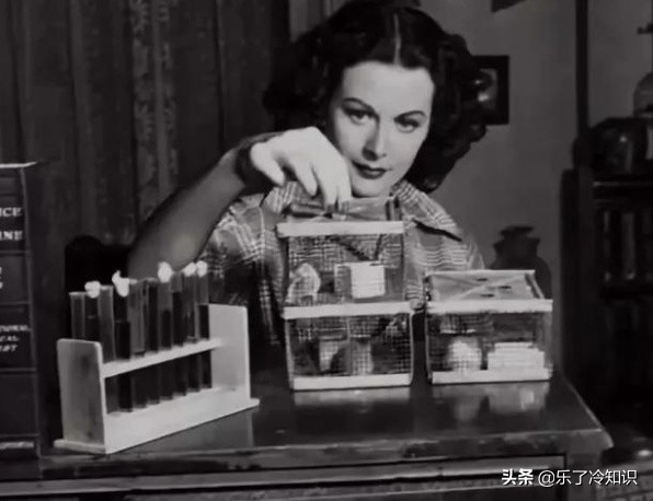 A well-known and beautiful actress who secretly does scientific ...