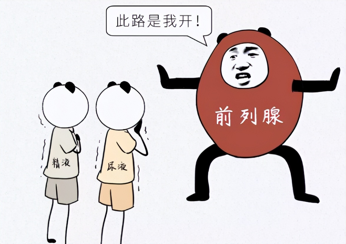 Burning pain in the urethra, dripping white urine? Don't blindly reduce ...