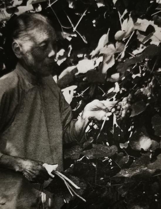 Li Zongren's original partner, Li Xiuwen, was abandoned in the United ...