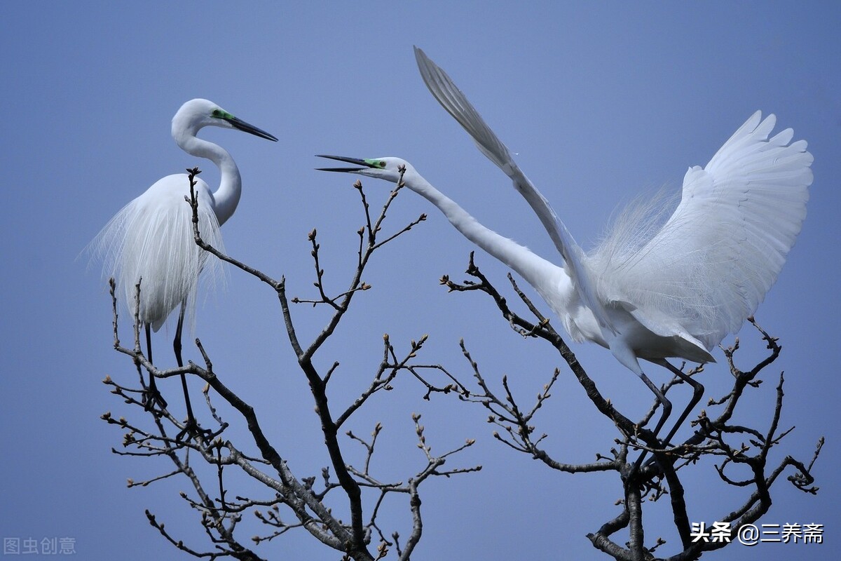 Poetry Comes Out of the Heart and the Heart, Out of the Heart and Heart ...