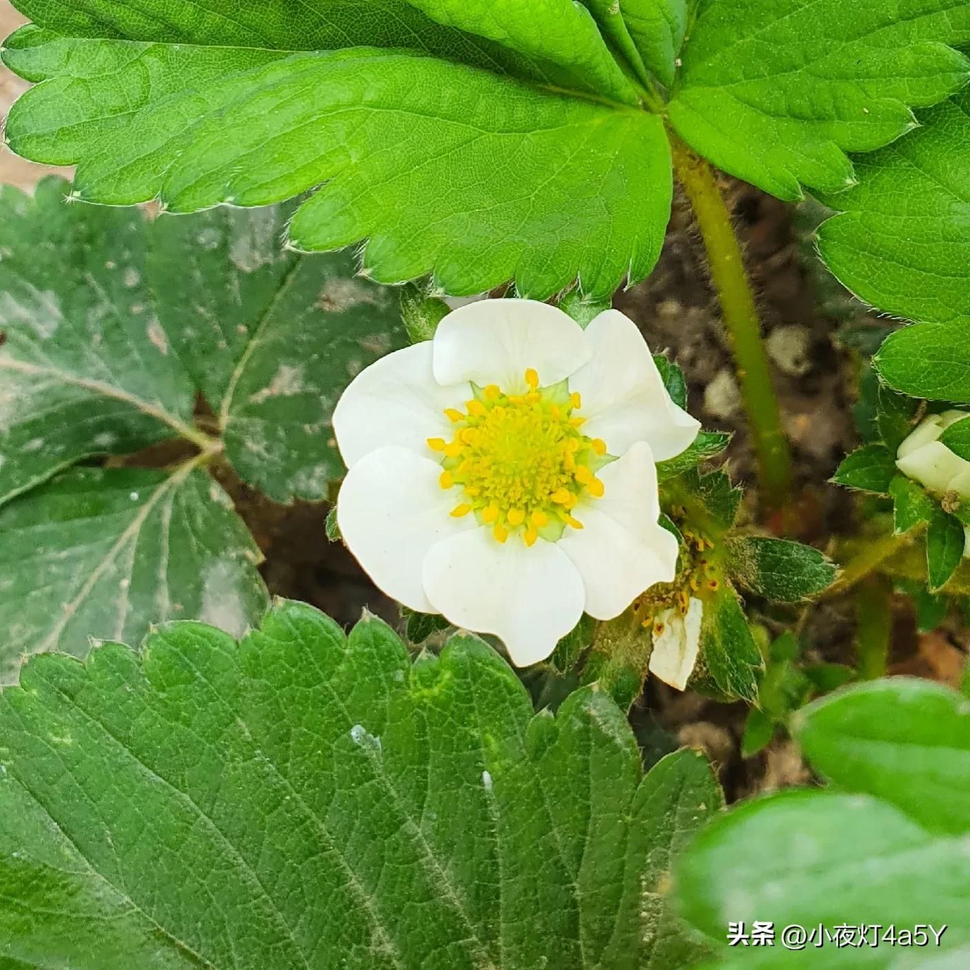 She is recognized as the number one beauty in China. You can see how ...