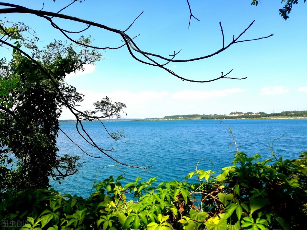 What exactly does Haizi's masterpiece "Facing the sea, spring flowers ...