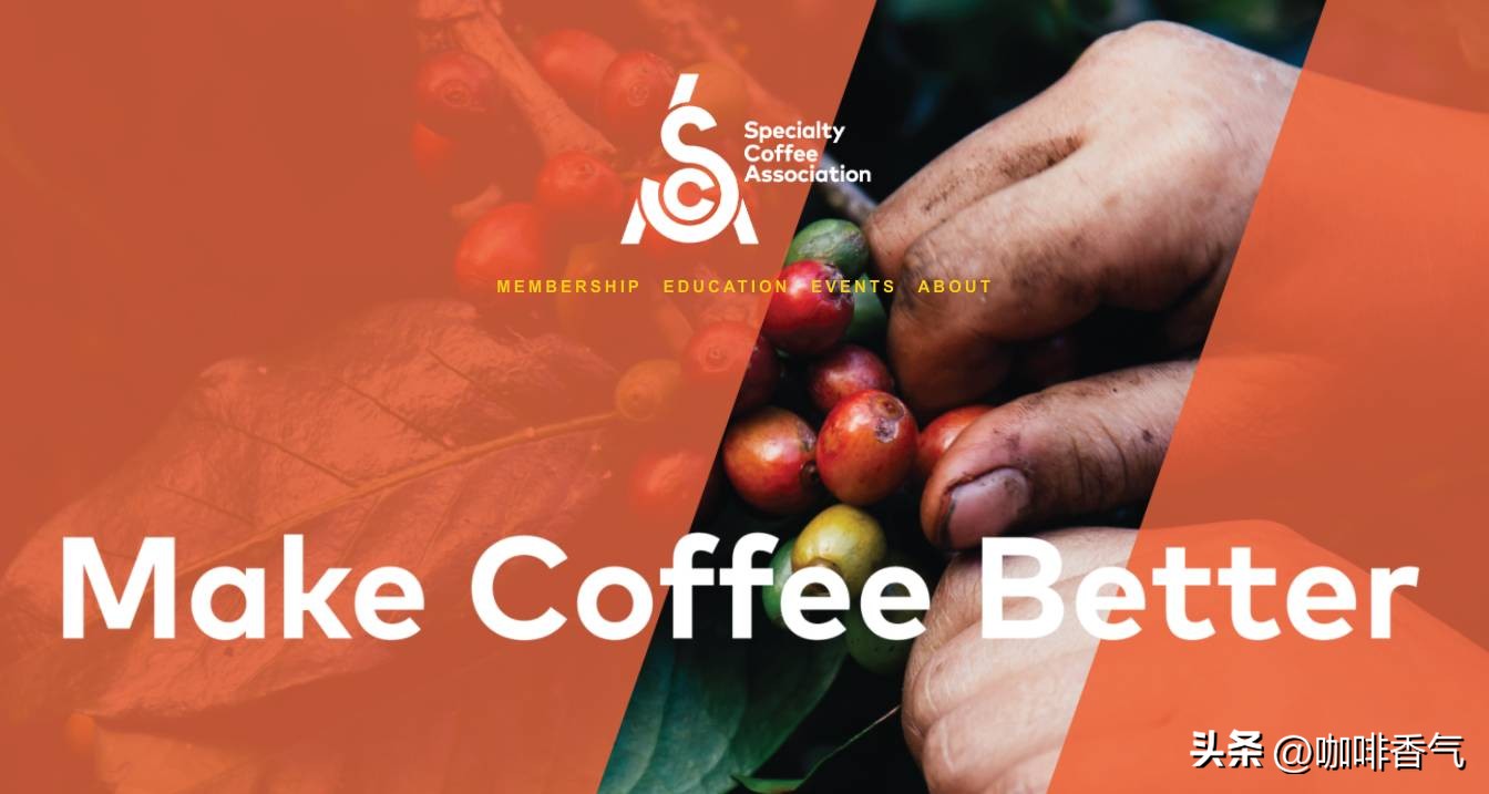 What is "specialty coffee"? - iNEWS