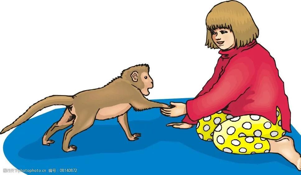 Subtle differences exist in the way humans and monkeys perceive the ...