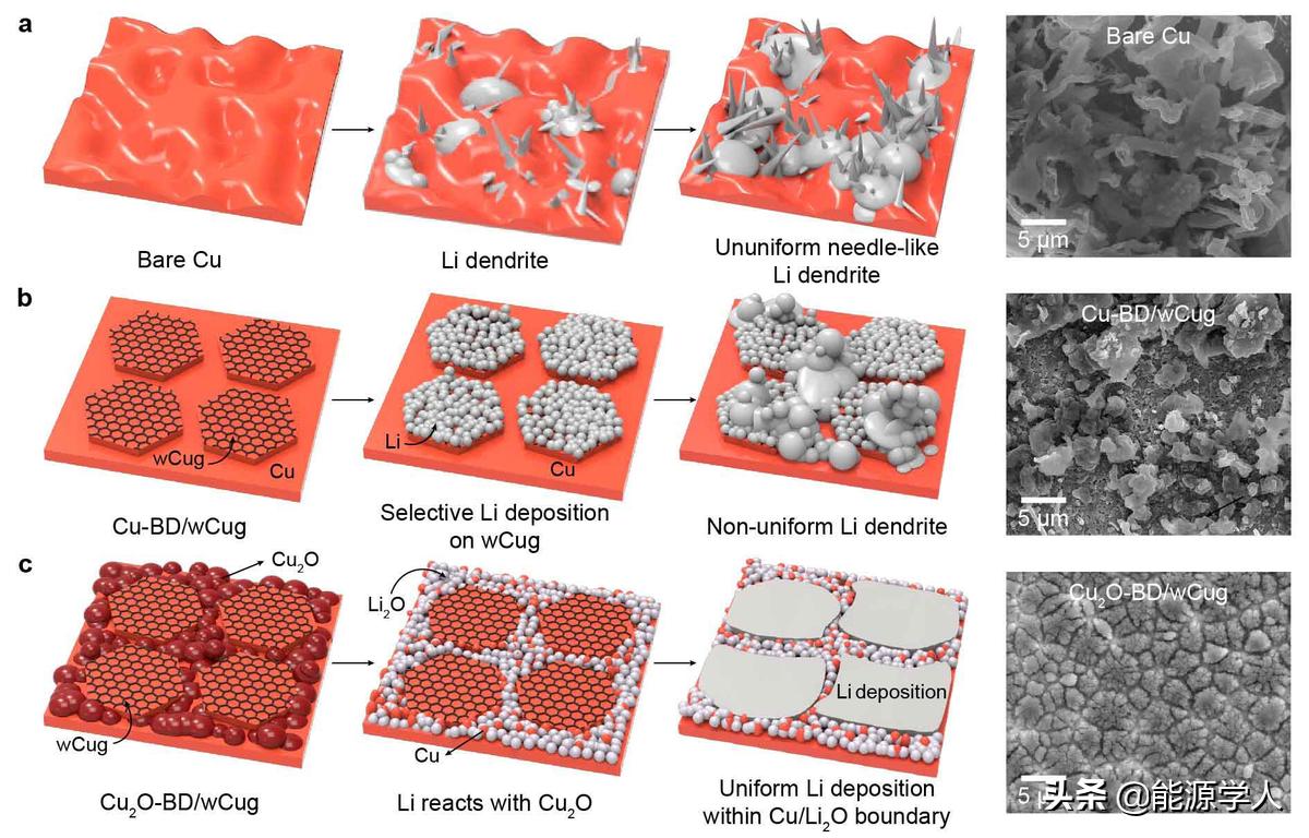 Cu2O boundary modulates lithophilicity of Cu substrates for ...