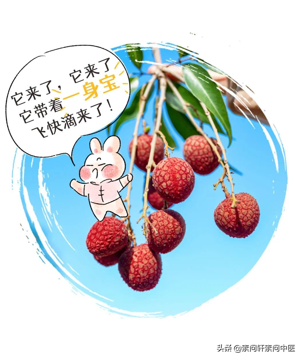 Eat this kind of pure yang fruit in summer, invigorating the kidney and ...