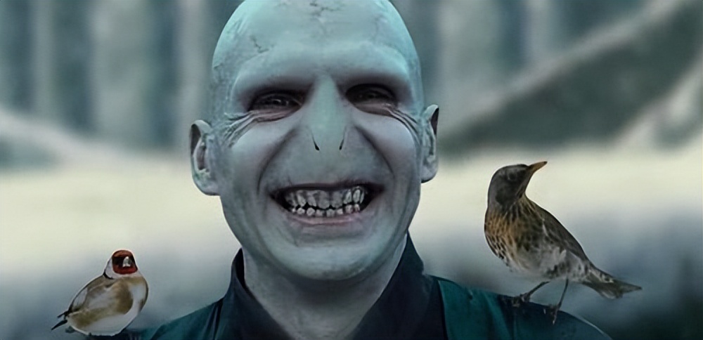 In the American suspense film "Harry Potter", how the characteristics ...