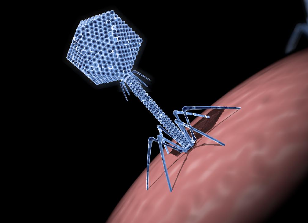 Research on the methodology of rapid detection of Mycobacterium ...