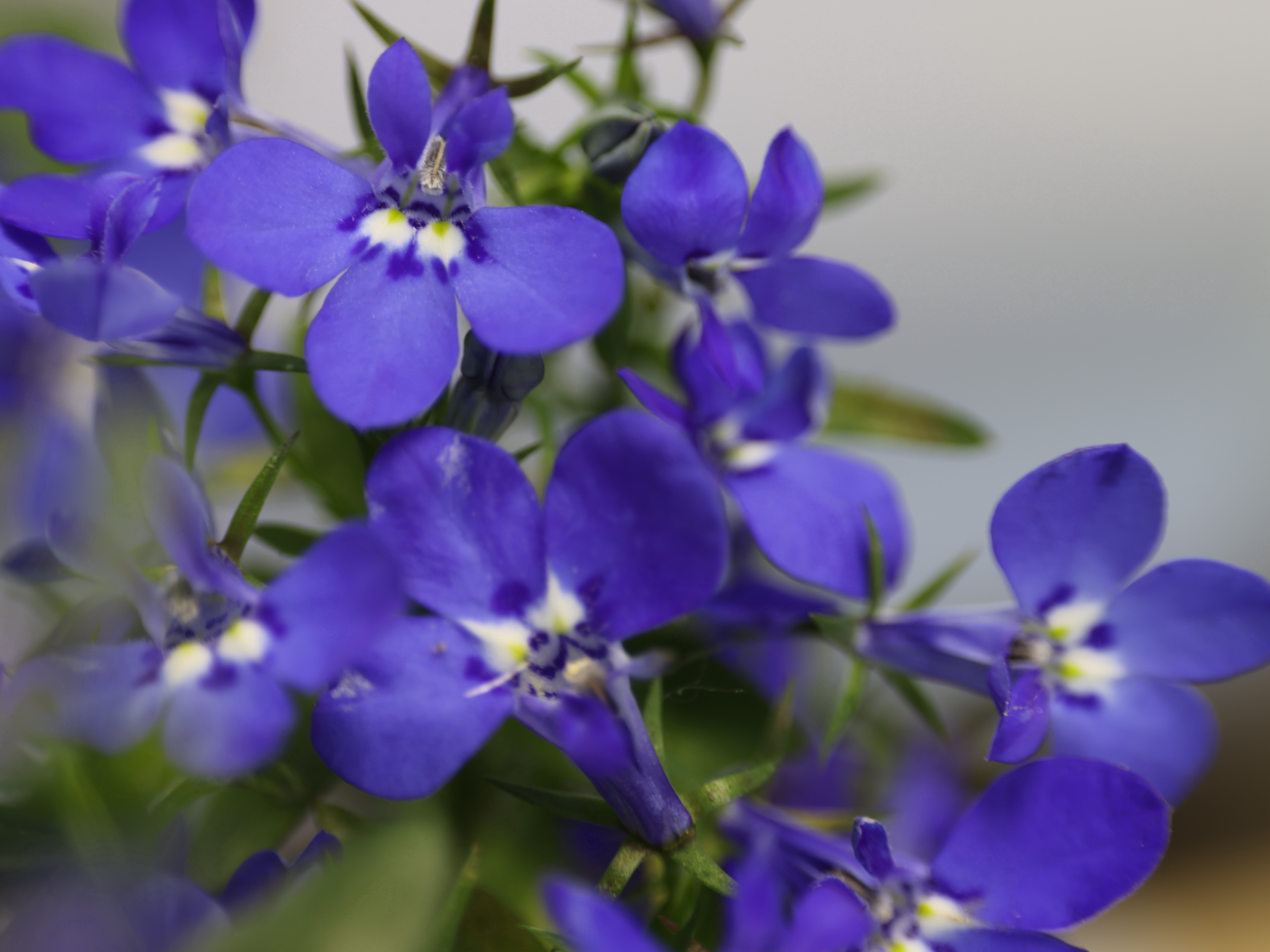 Six times the profit helps you earn six times the profit - iMedia