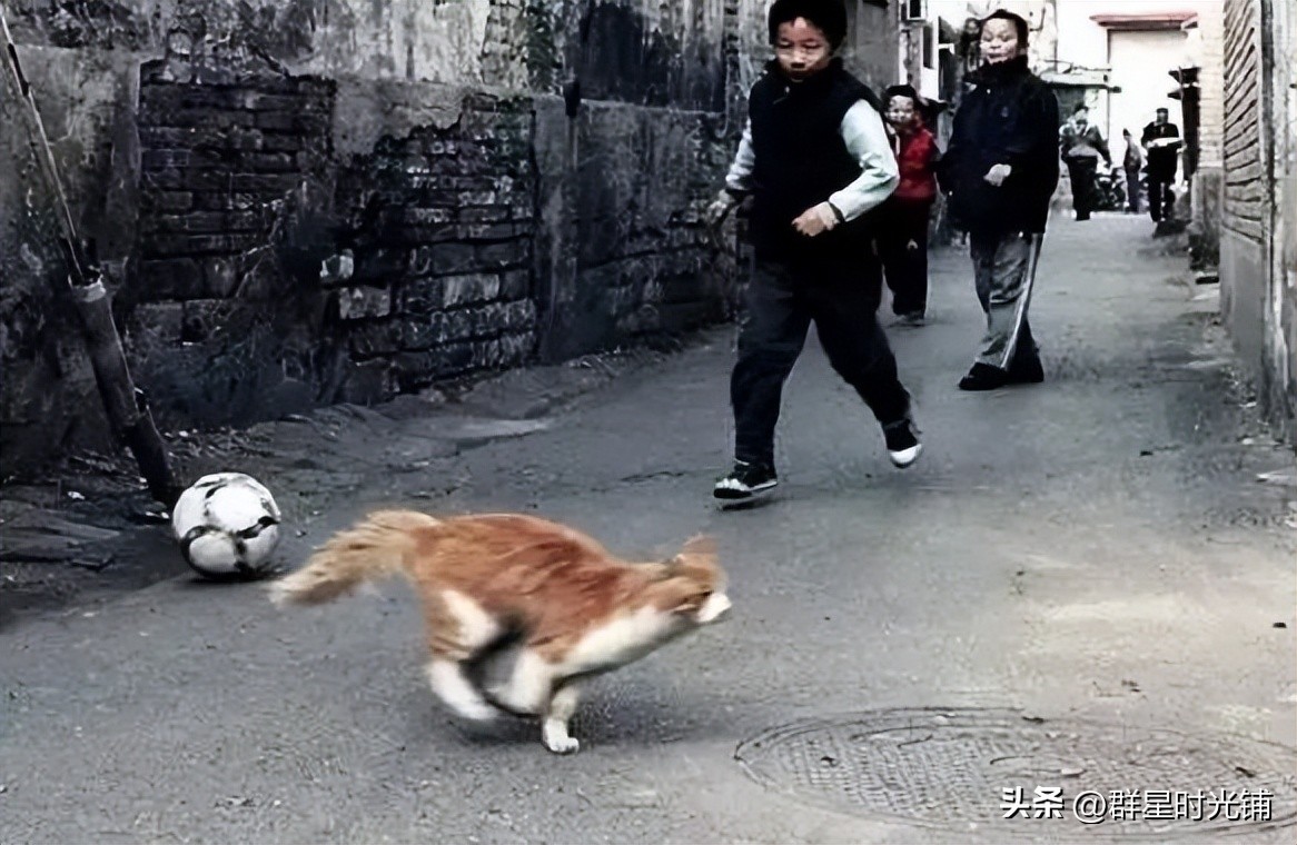 Duan Xuan, 8 years of temporary work has not diminished his love for ...