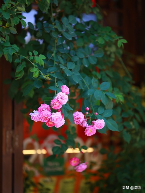 A spring rain poem by Du Fu describes the beauty of the spring rain ...