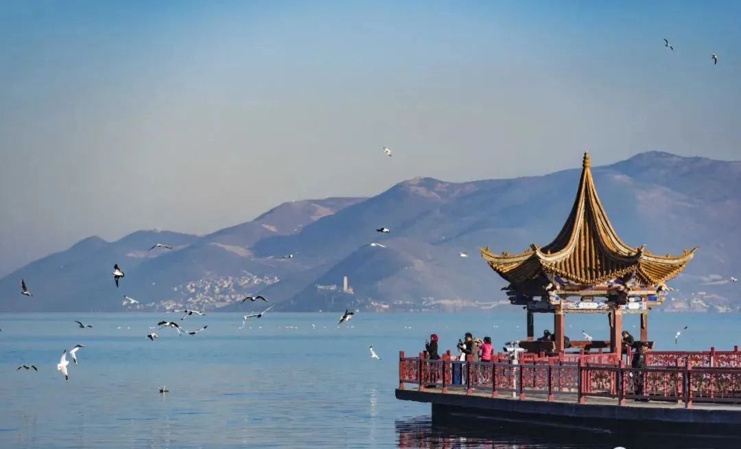 Every Dali person has an unforgettable Dali water in their hearts - iNEWS