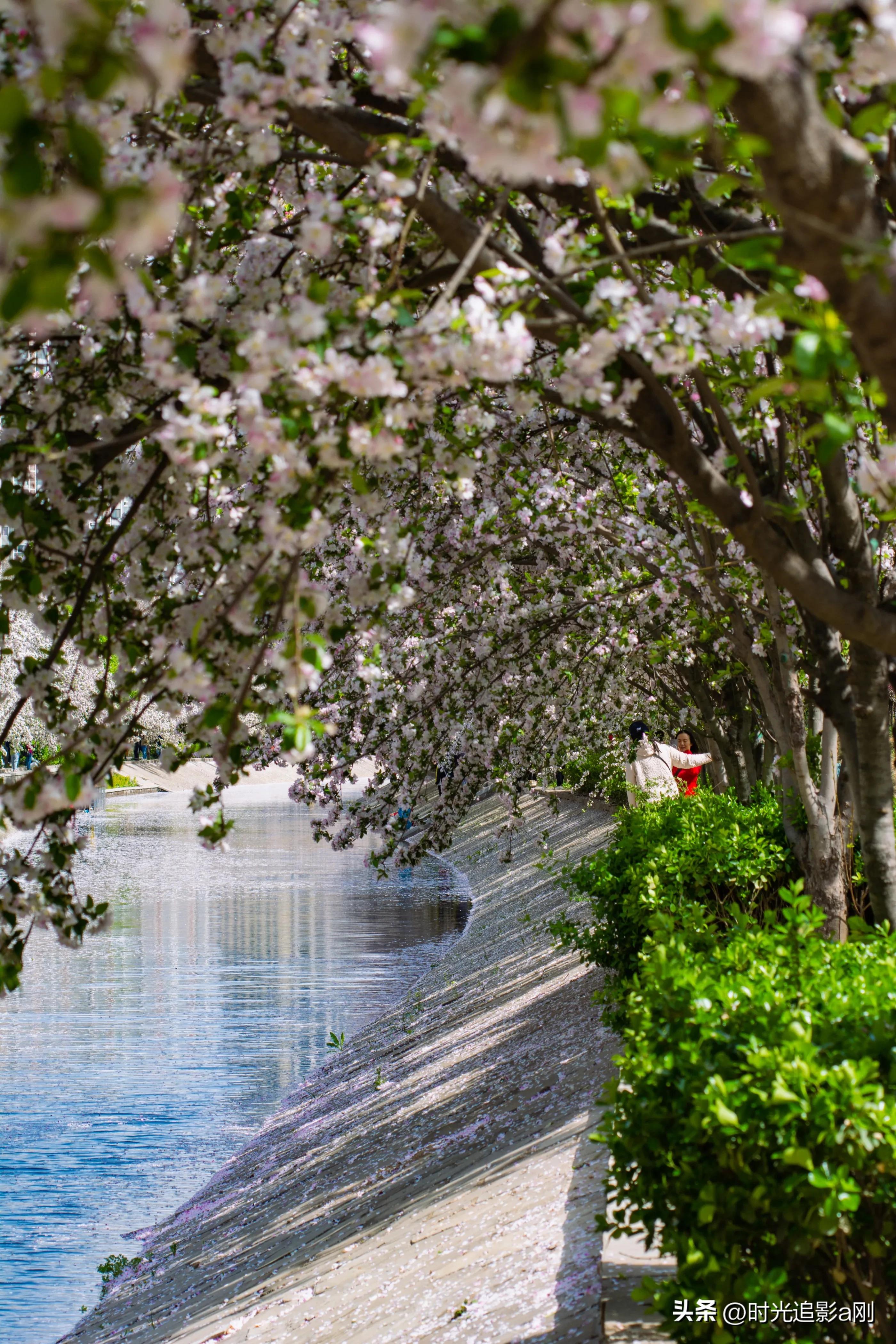 Internet celebrity check-in landmark - iMedia