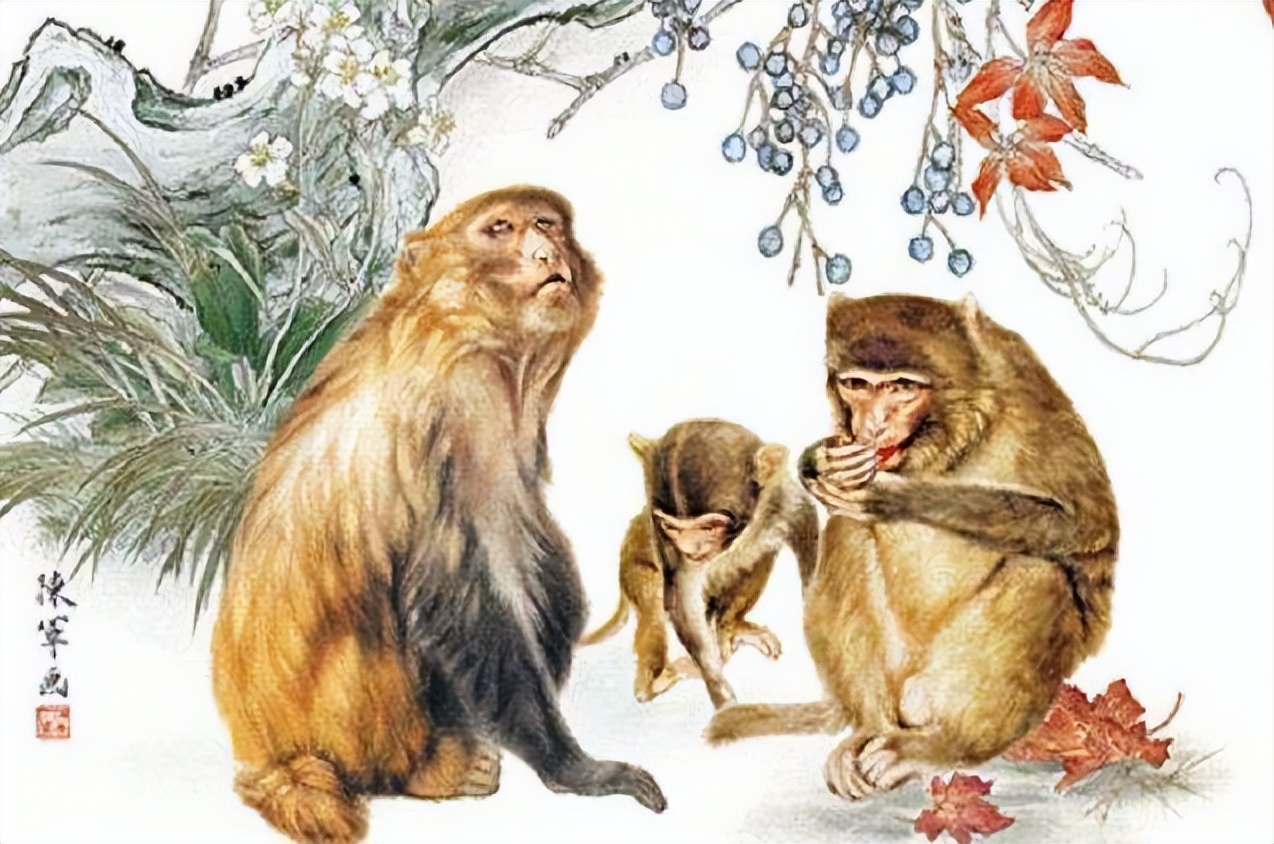 If you are a monkey, you are likely to experience some good luck in the ...