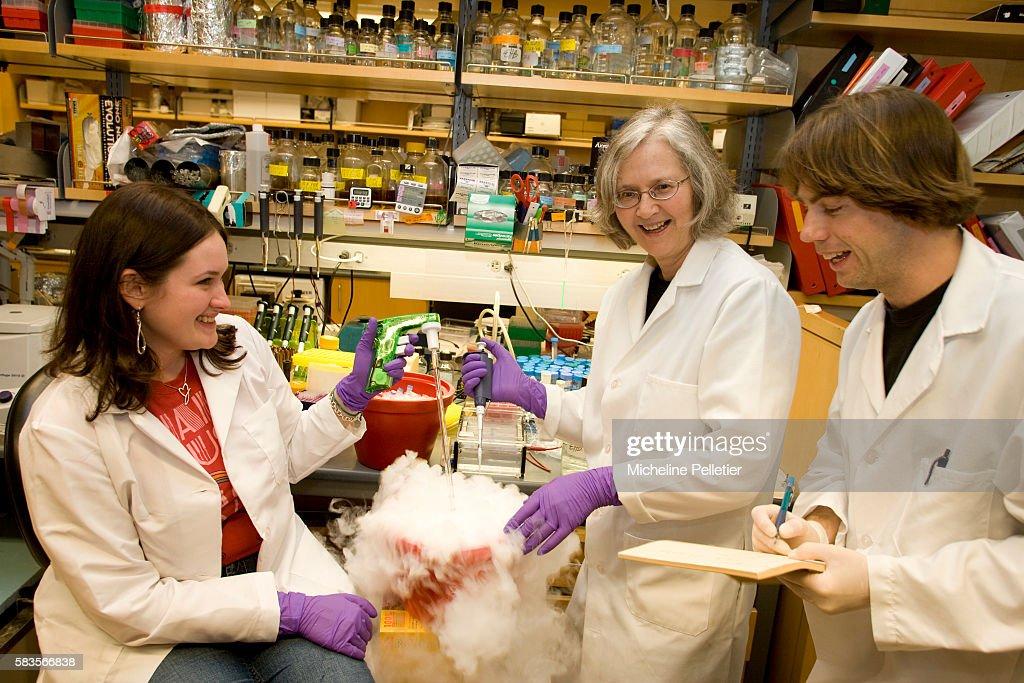 Nature article: Five areas of biological image analysis being ...