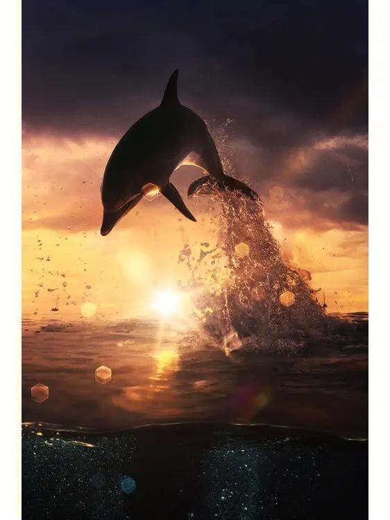 A Study of Dolphin Social Behavior and Communication Styles - iNEWS