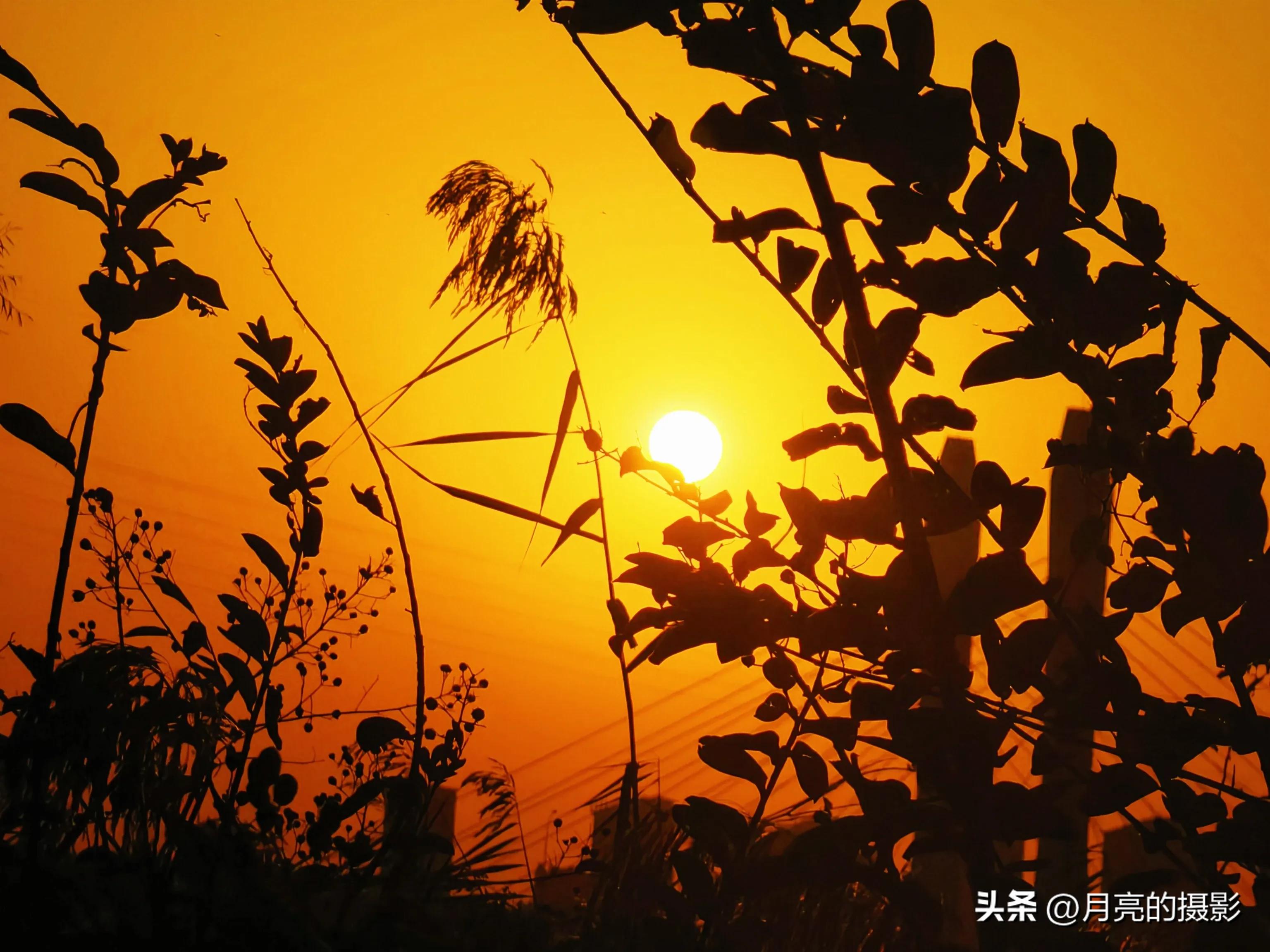 How to take good-looking photos under the sky?Teach you a few composition schemes, quickly ...
