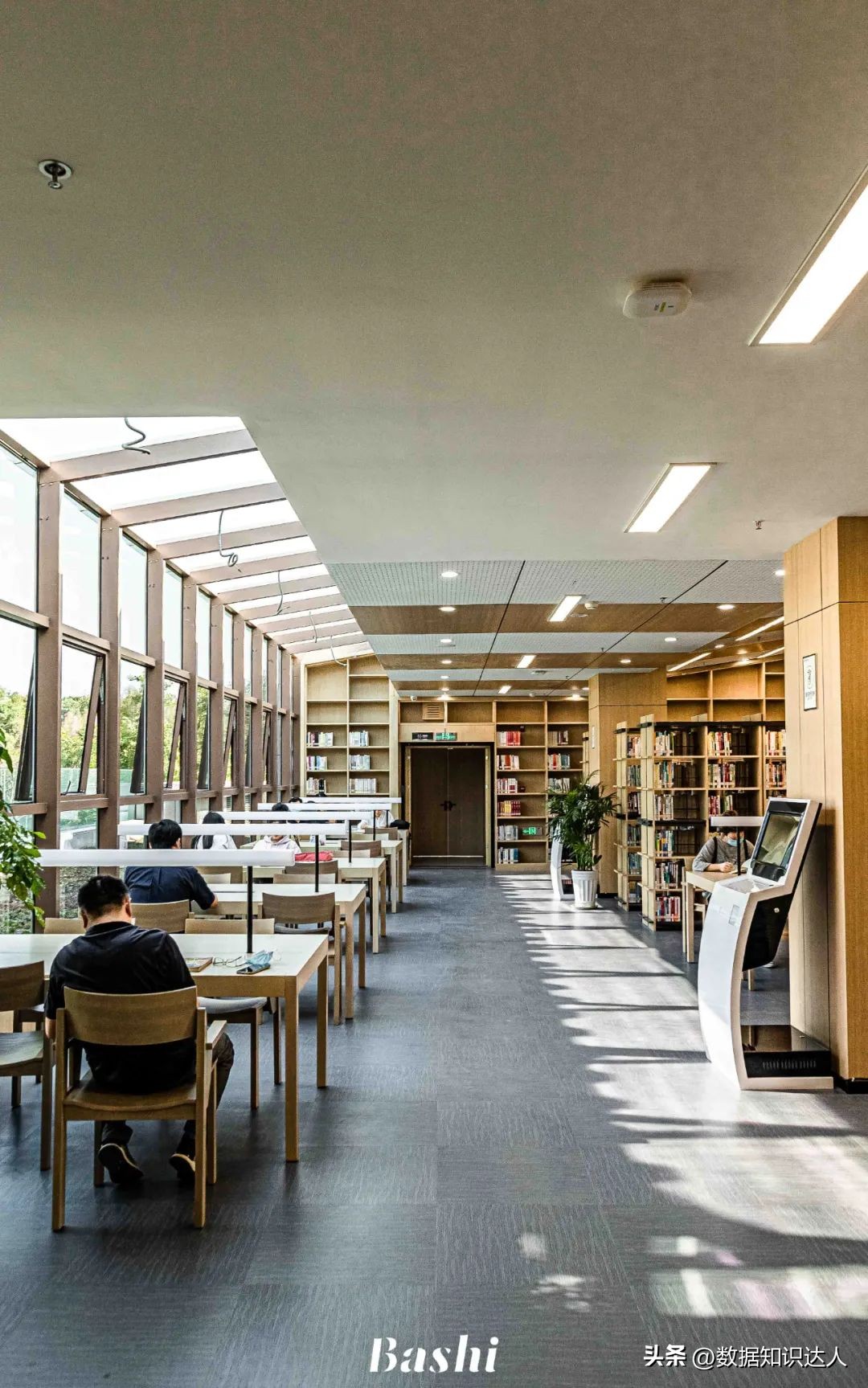 Chongqing's first "Forest Library", beautifully turned - iNEWS