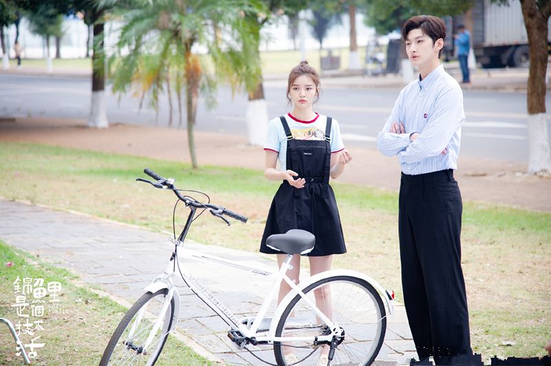 "Koi is a Skilled Job" premieres, starring Liu Telin Qiyu, youthful and hilarious, high-quality ...