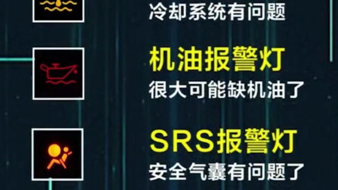 What does "turtle basking in the sun" on the dashboard of a car mean ...