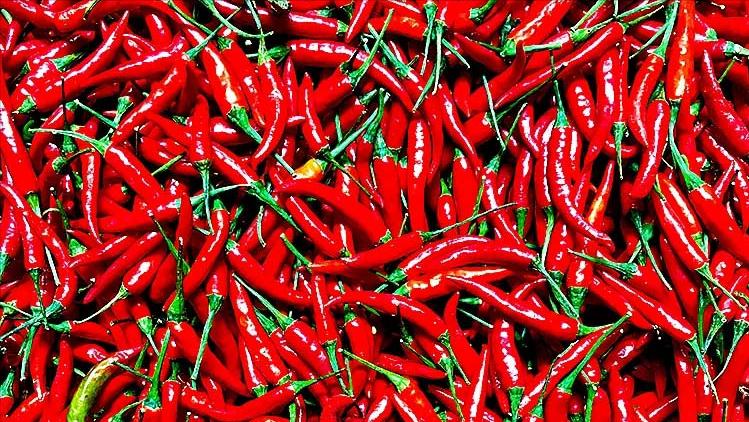 It turns out that the birthplace of Chinese chili is here - iNEWS