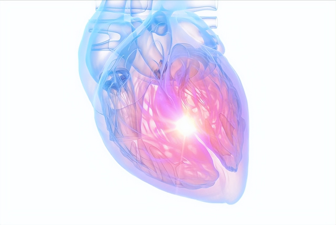 Analysis of the chemical constituents of the snake venom and the ...