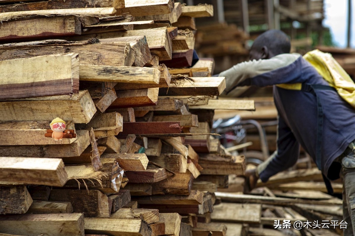 Cameroon: Log export ban is necessary - iNEWS