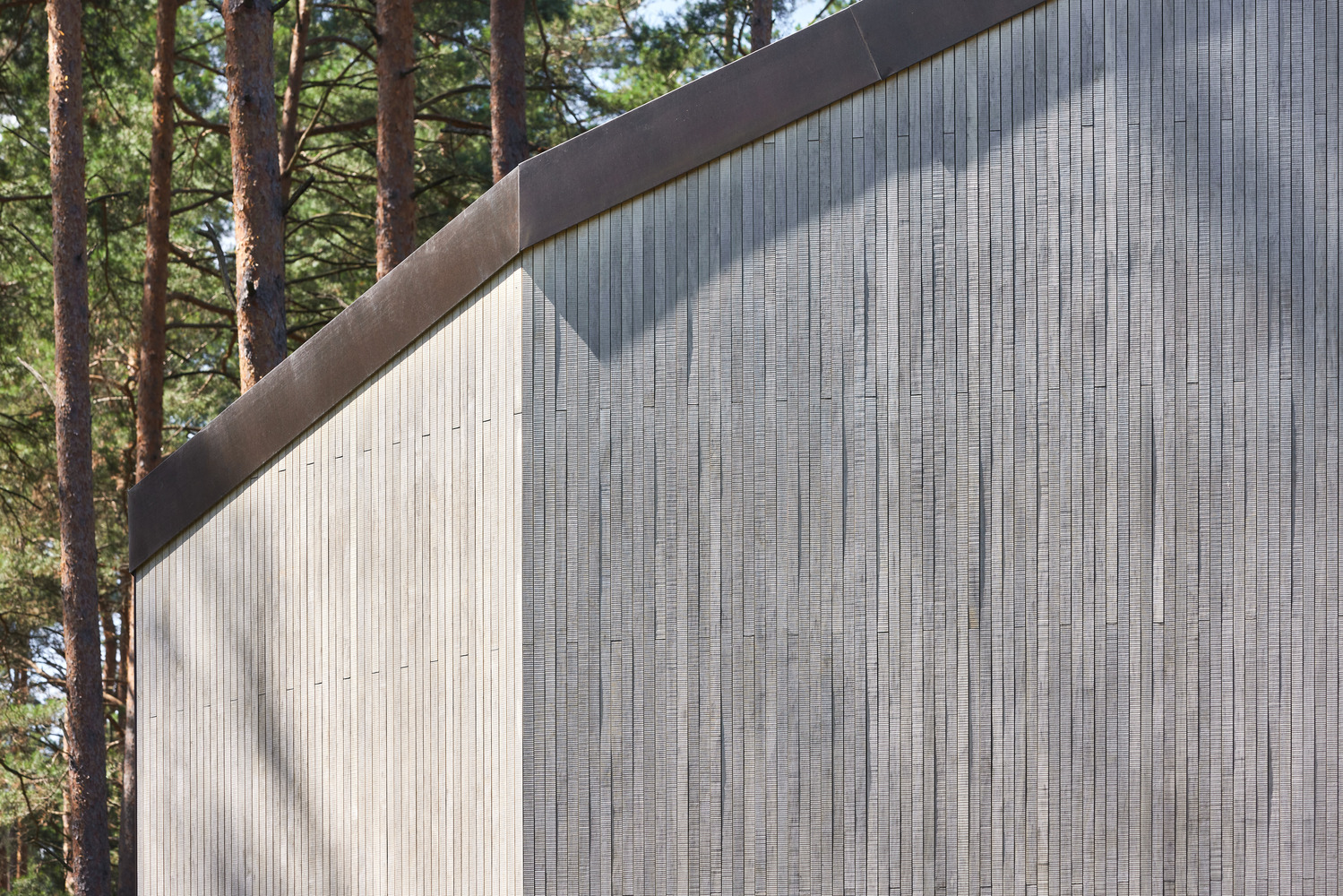 House in the forest: the unique façade texture is derived from the ...