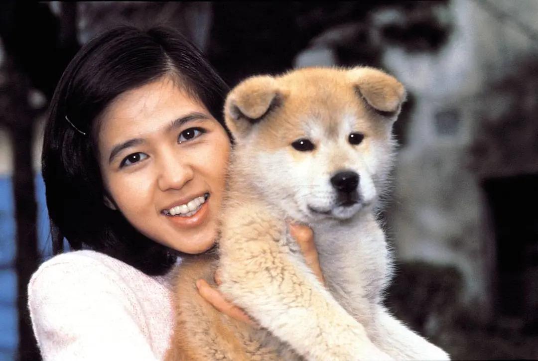 Douban scored 9.2 points and was remade twice. Why did "Hachiko" become ...