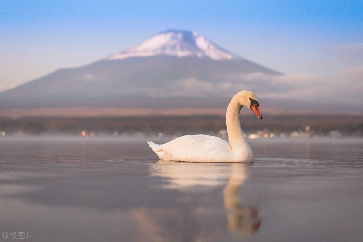 What is focal length and how does it affect the perspective and ...