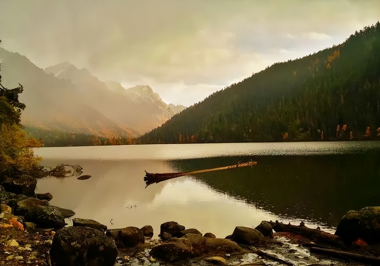 Li Shuangjiang is also involved, is it related to the removal of Dao ...