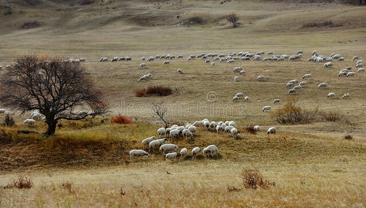 Prose: "The Immortal in Wine" Old Li Bai in the Village - iNEWS