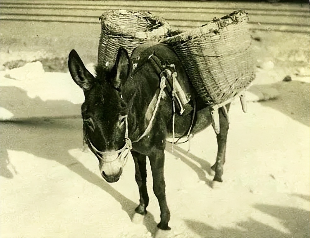 During the war of resistance against Japan, a trafficman stabbed a ...