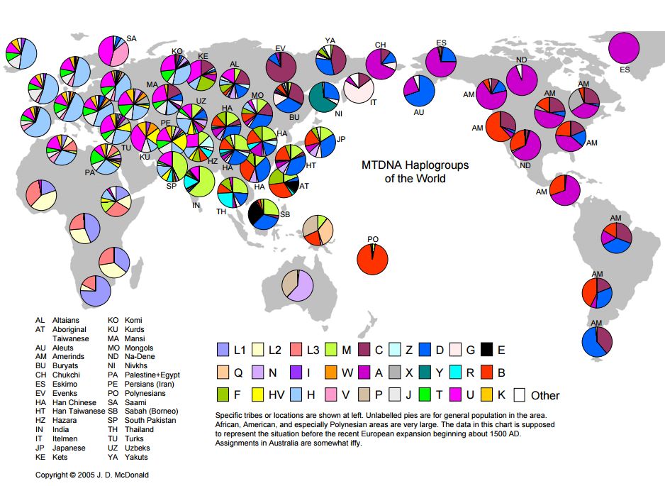 Introduction to Molecular Anthropology Fundamentals Five, Understanding ...