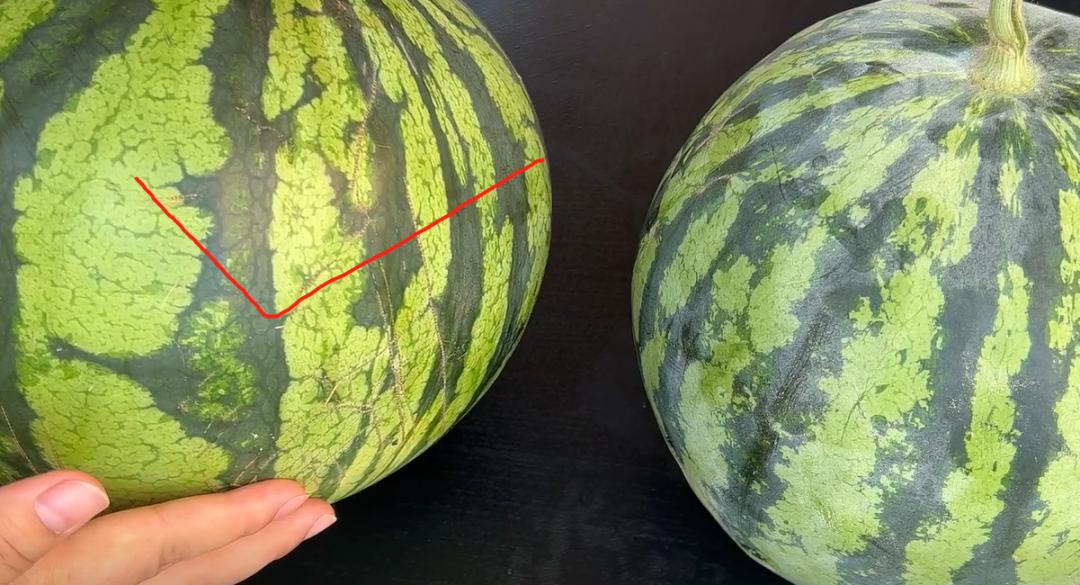 Don't shoot watermelons with your hands anymore, I'll teach you 5 tips ...
