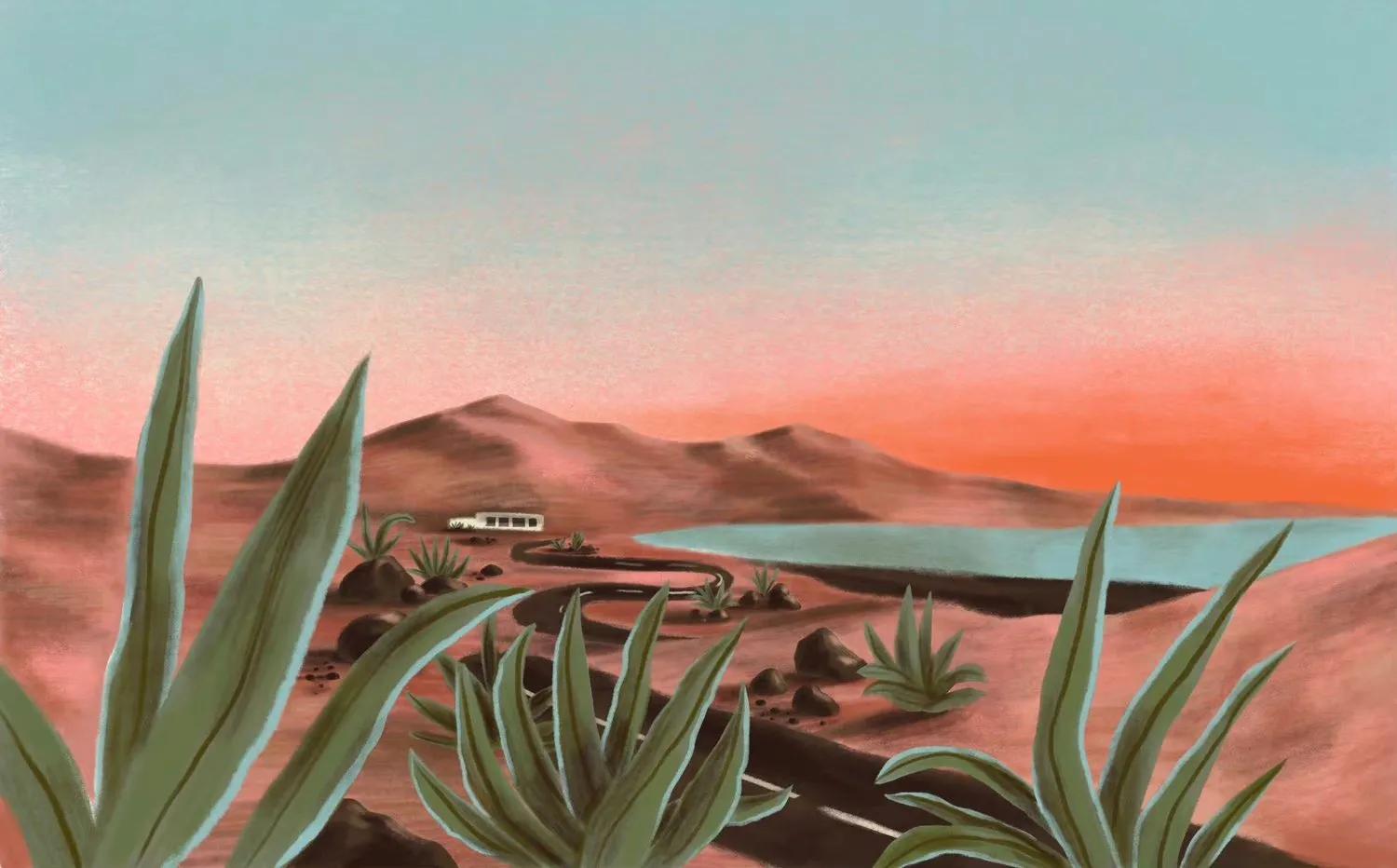 A set of illustrations by illustrator Beya Rebaï - iNEWS