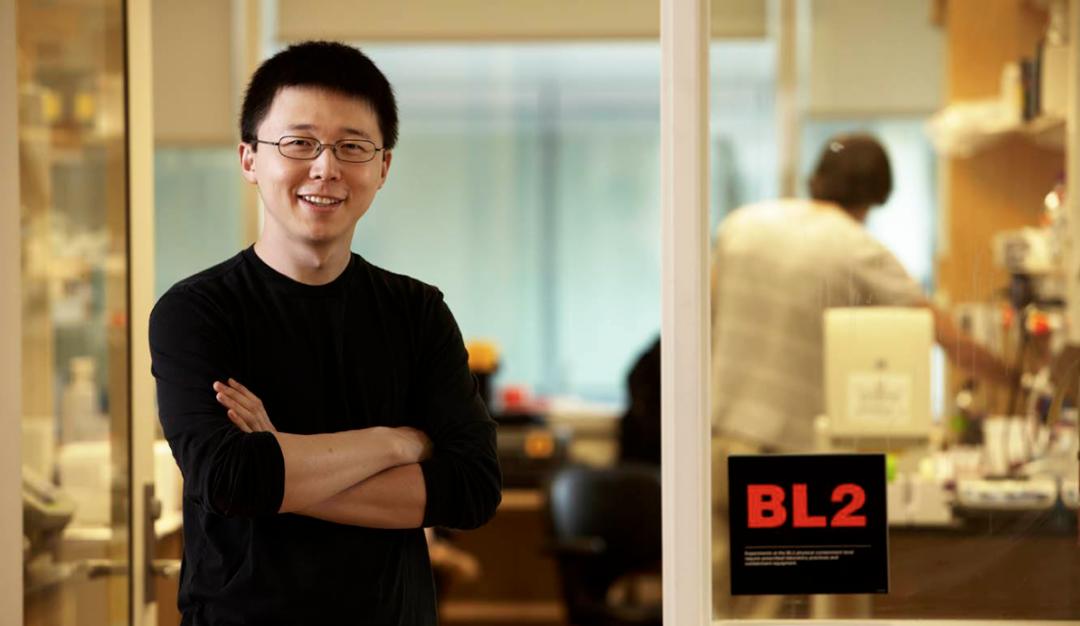 Gene editing Zhang Feng's team wins the case: no Nobel Prize wins ...