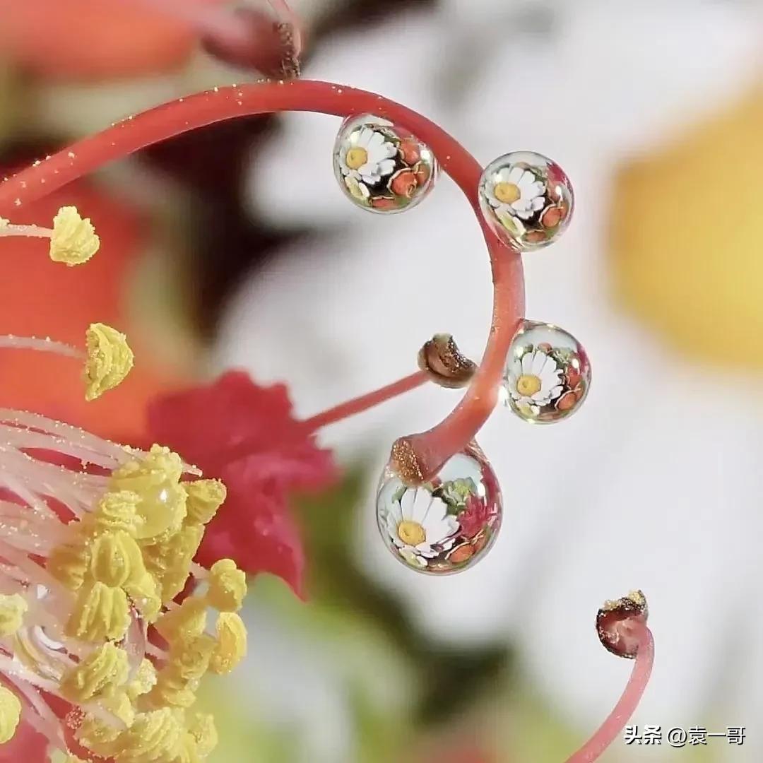 Literary Interests: Time is a priceless treasure that is truly ...